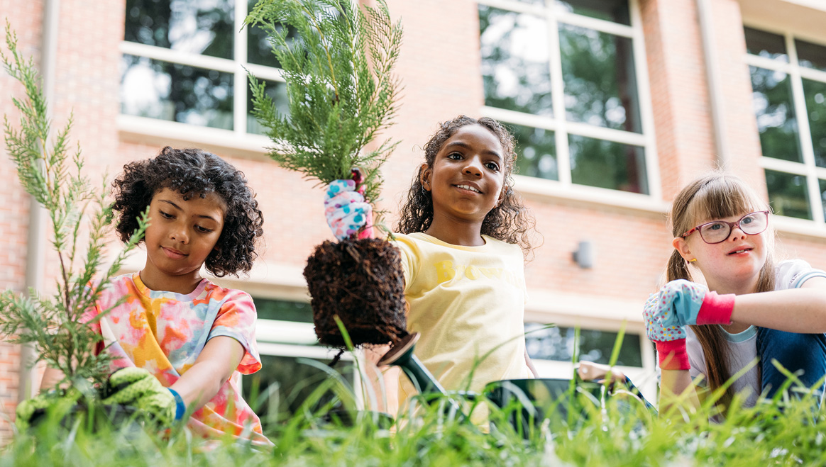 Small child and her colleague planting a tree in the forest